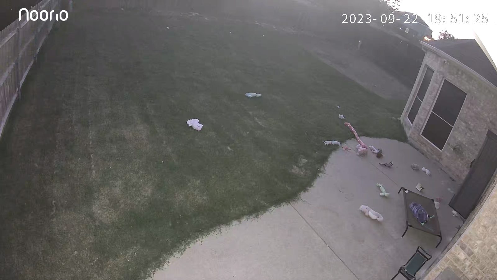 Noorio Cameras — World-Class Security at Mid-Tier Pricing