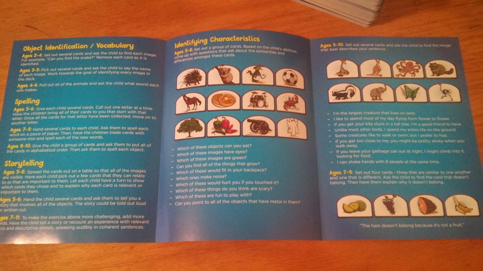 Sound and fury and signifying–Blurble review