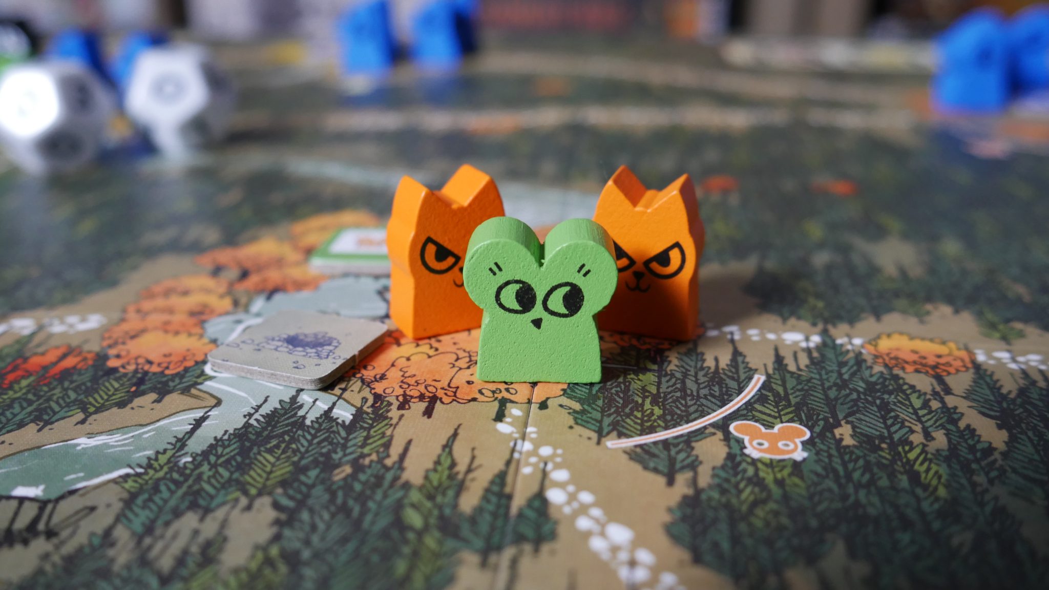 Root review — A perspective after five years in the woods