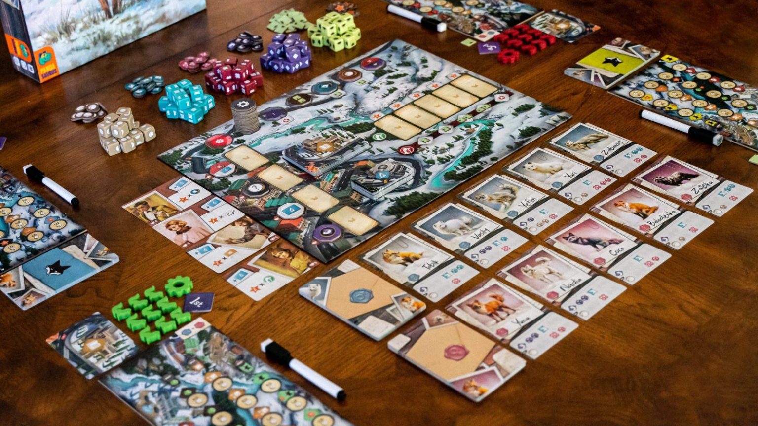 The Fox Experiment preview — breeding and domesticating foxes